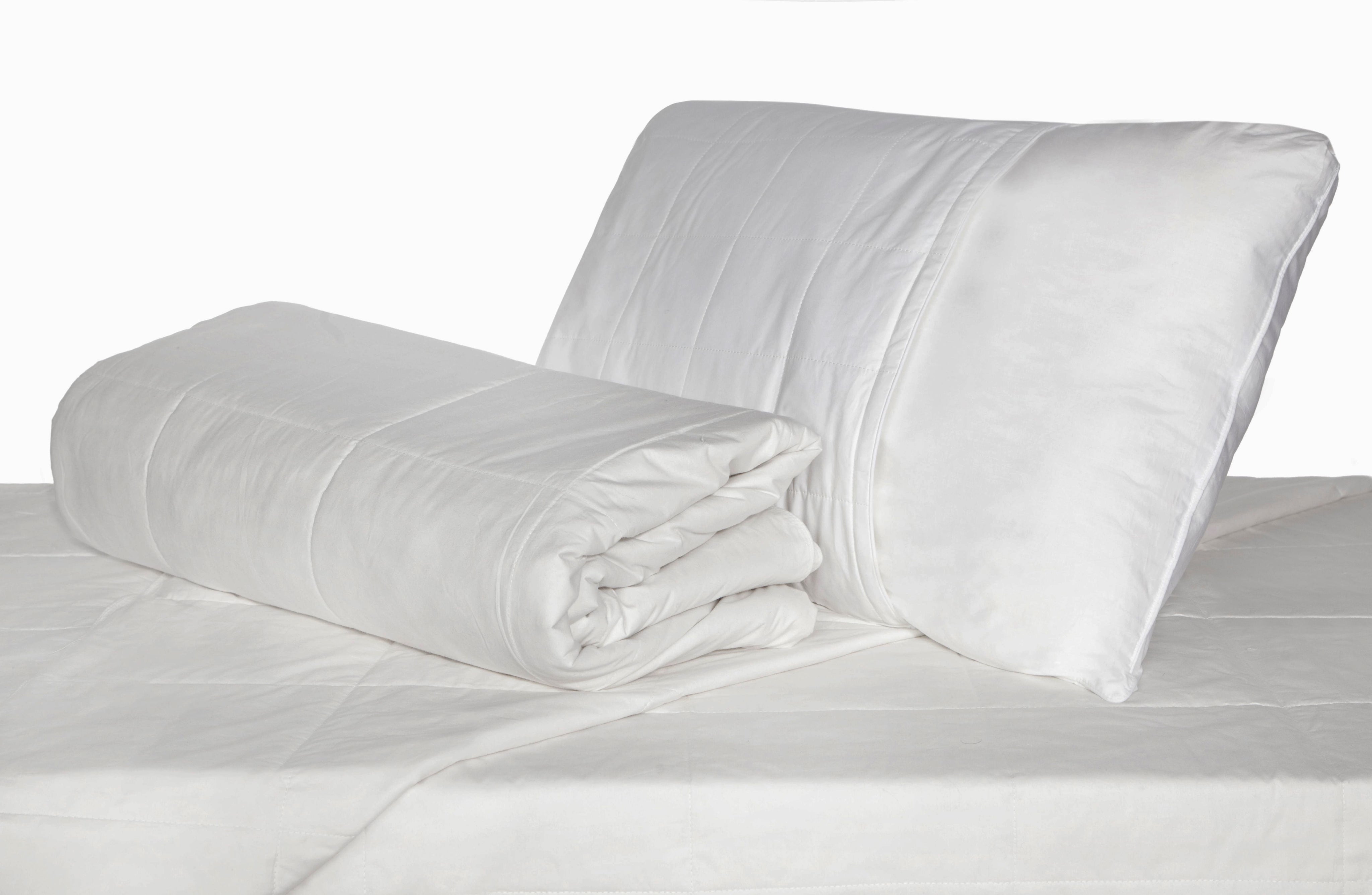 PURE SILK Mattress and Pillow Protector Set | Luxeport